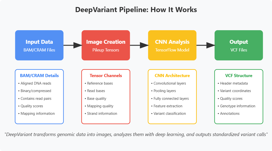 Google's DeepVariant: AI with Precision Healthcare - AI for Healthcare